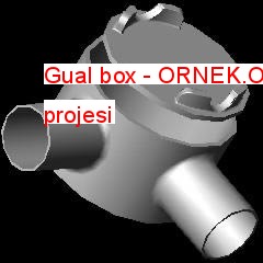 Proje Sitesi | Gual box Autocad Projesi